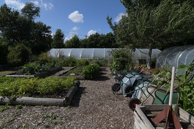 Romney Marsh Visitor Centre and Romney Warren Local Nature Reserve ...