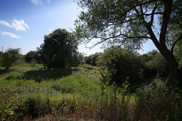 Romney Marsh Visitor Centre and Romney Warren Local Nature Reserve ...