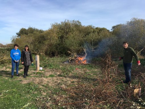 Romney Marsh Visitor Centre and Romney Warren Local Nature Reserve ...